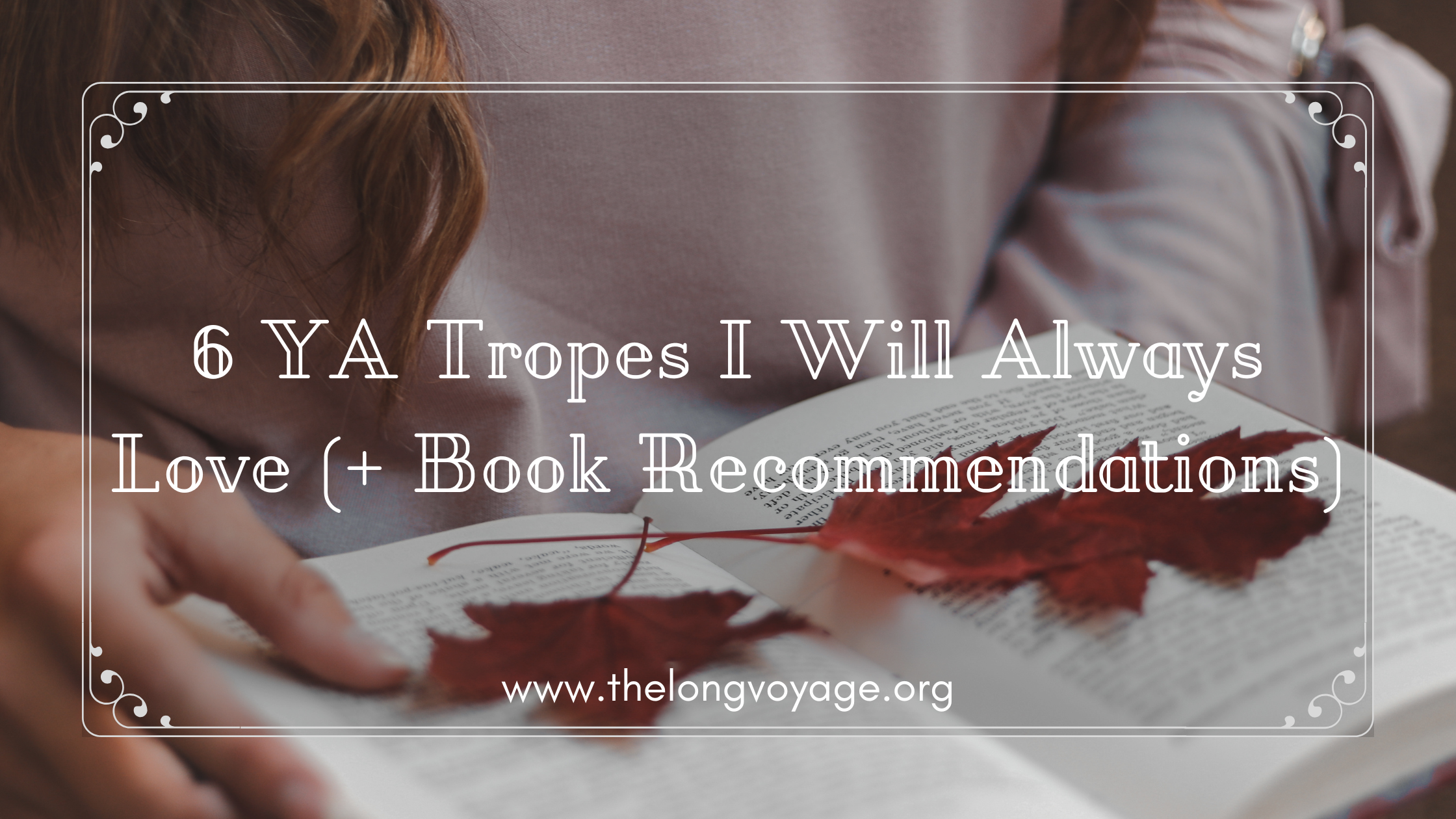 6 YA Tropes I Will Always Love (+ Book Recommendations) – The Long Voyage